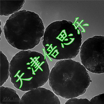 四氧化三铁磁性微球/Fe3O4/纳米单分散/磁性微球/氨基 羧基/磁珠