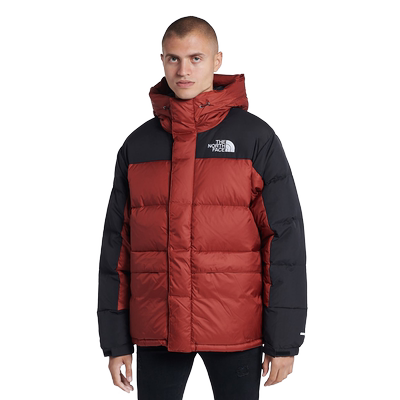 tnf北面美版加厚男羽绒服