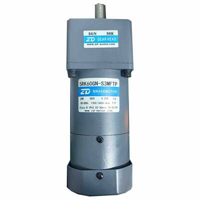 5RK60GN-S3MFTP/5GN36K ZD 中大60W交流三相刹车电机马达