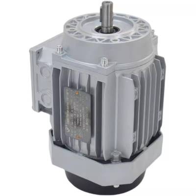 YE2 YS GS7116 7126 7136 8016 8026 90S 90L 100L-6国标铜线电机