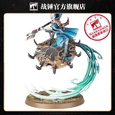 奸奇使徒：乘坐奸奇魔碟的魔导师 Magister On Disc Of Tzeentch