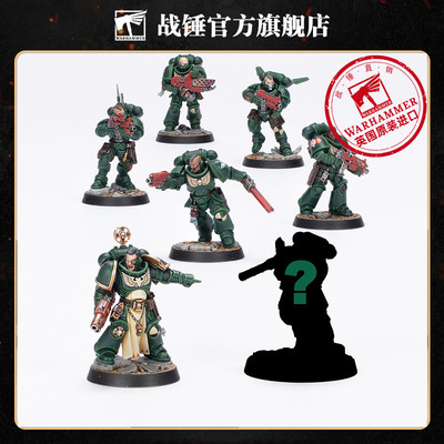 战锤40K：星际战士黑暗天使盲盒Sm Dark Angels Dispenser