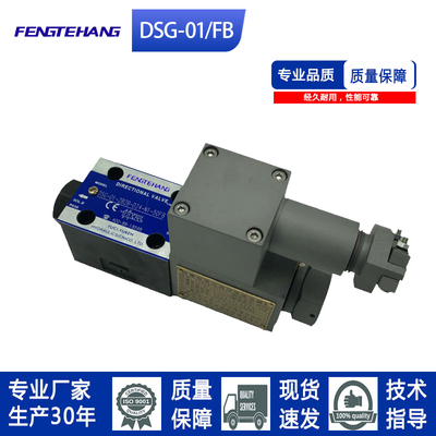 FENGTEHANGDSG-01/FB现货换向阀