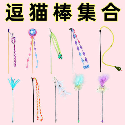 Cat Teasing Stick Collection Can Replace Head Changing Inte