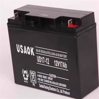 USAOK科星蓄电池UD24-12V24AH17AH38AH65AH100AH120AH应急电源UPS
