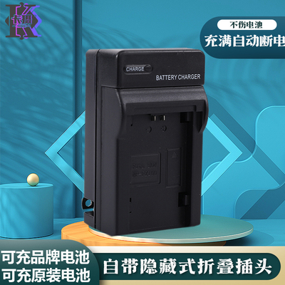 适用于索尼NP-FZ100相机充电器