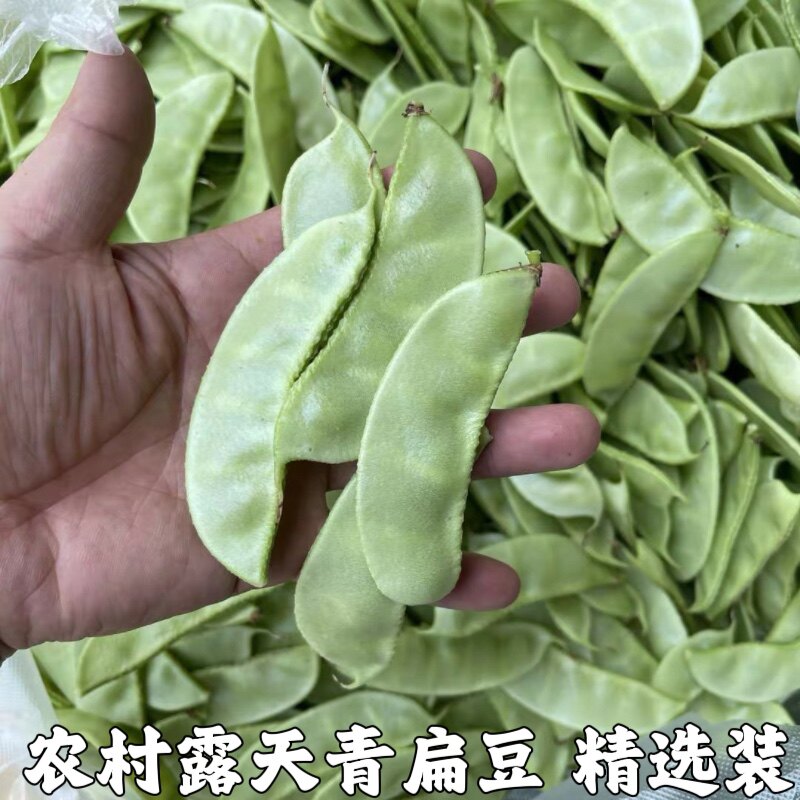扁豆角新鲜蔬菜农家自种月儿菜扁豆眉豆白扁豆青豆角扁豆荚嫩包邮