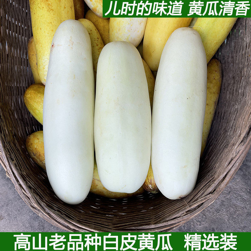 新鲜白黄瓜湖北农家自种白皮老黄瓜生吃白皮黄瓜应季本地蔬菜5斤