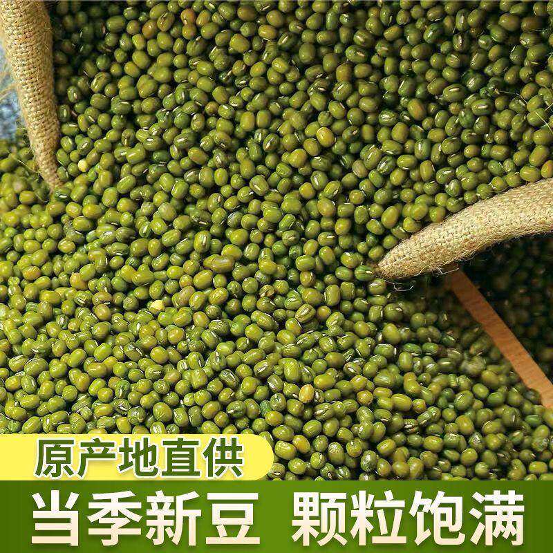 绿豆农家自产自销出沙笨小绿豆生豆芽打豆浆 新货特惠5斤散装包邮
