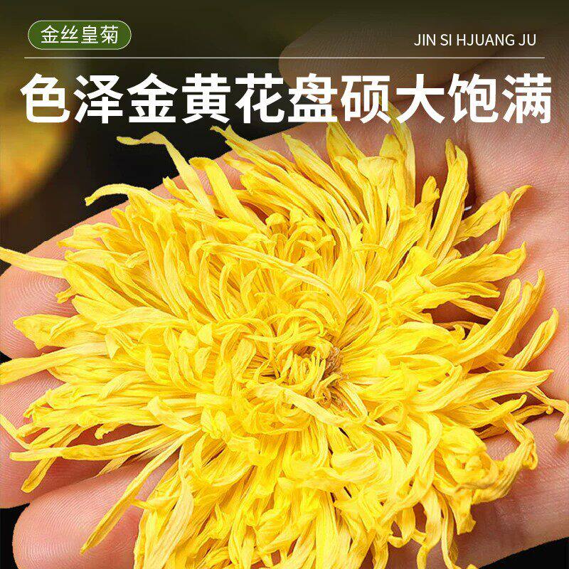 金丝皇菊菊花茶大花朵色泽金黄花盘饱满茶叶养肝茶明目冲泡袋装