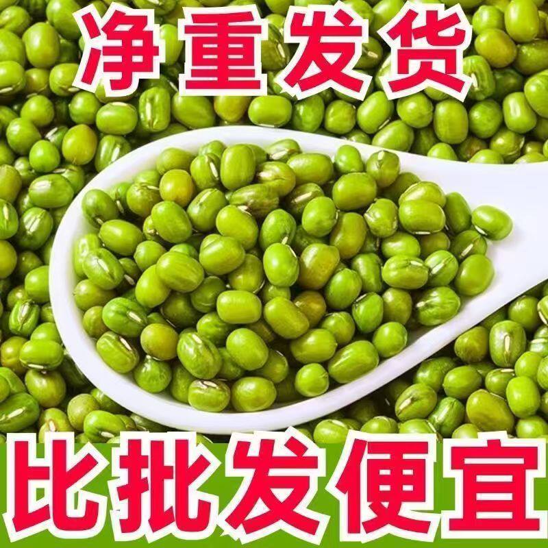 绿豆新鲜新货农家自产发豆芽包优质煮粥煮汤一级新鲜方便去皮脱皮