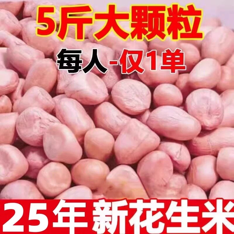 东北白沙生花生米新货特大颗粒新鲜粉皮红衣花生仁不带壳去干花生