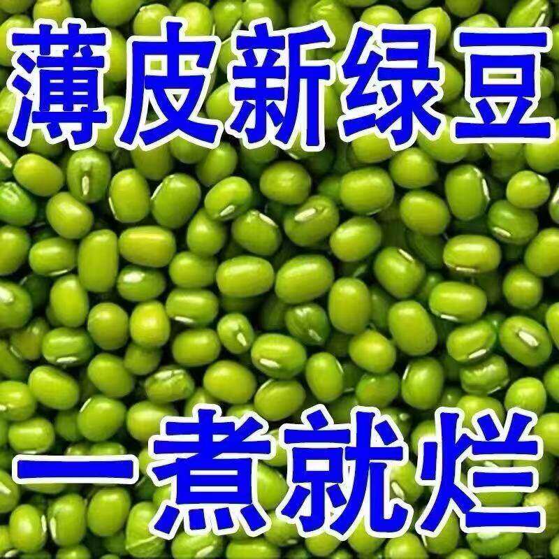 新货东北新绿豆新货颗粒饱满煲汤绿豆沙甜品发豆芽绿豆子容易出沙
