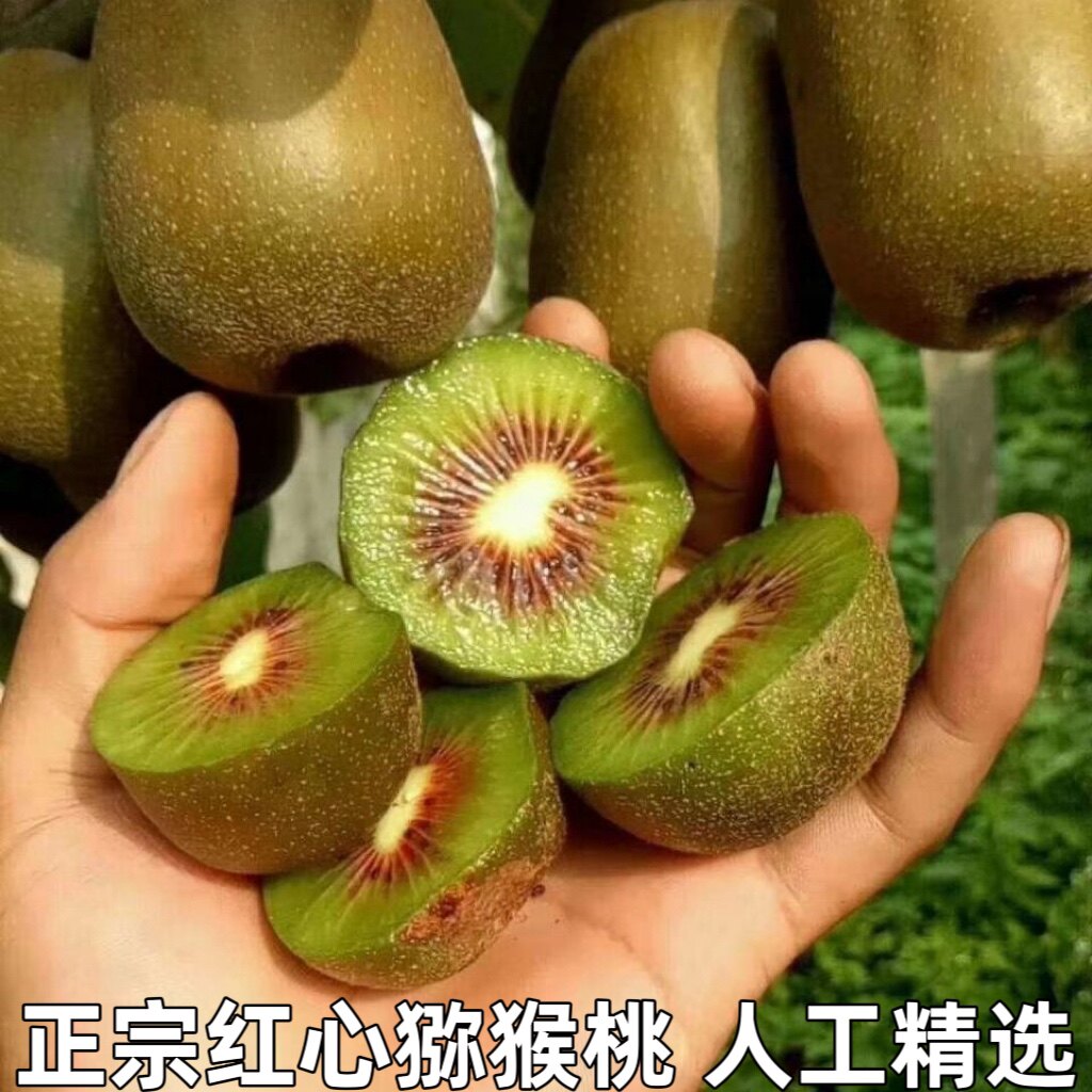 湖北红心猕猴桃奇异果弥核桃弥猴桃新鲜包邮应当季孕妇水果整箱