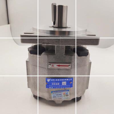 合肥长源齿轮油泵CBKP100-BFH/BFHL/CBKP-80/63/50/40/32BFP/现货