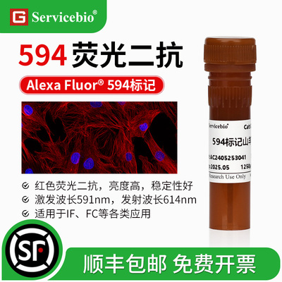 Alexa Fluor 594标记 红色荧光二抗 小鼠 兔IgG (H+L) IF FC实验