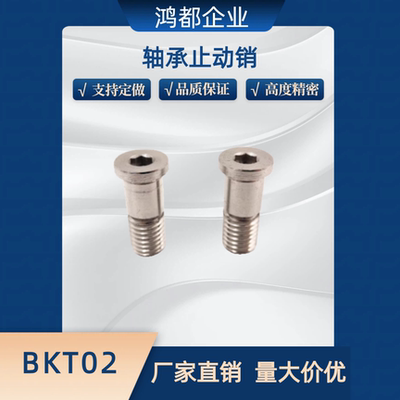 轴承止动销BKT02-D6 D8 D10-H9 H11 H13 H14 H17-L20 L25 L30 L40