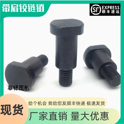 带肩铰链销MIE01CLBDG