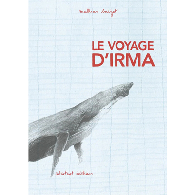 艾玛的旅程Levoyaged'Irma
