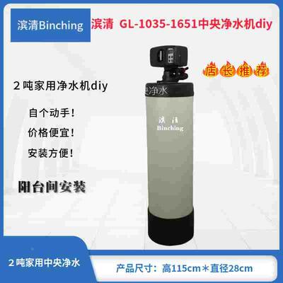 滨清GL-1035-BNT1651中央净水器 2吨全屋过滤器 全自动反冲大流量