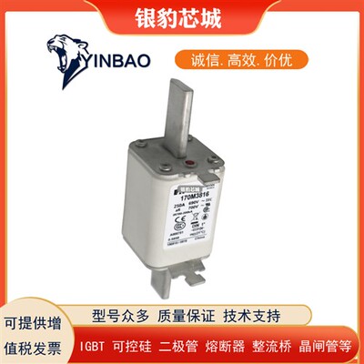 170M3926 170M3927 170M3928 170M3929 170M3930全新熔断器保险丝