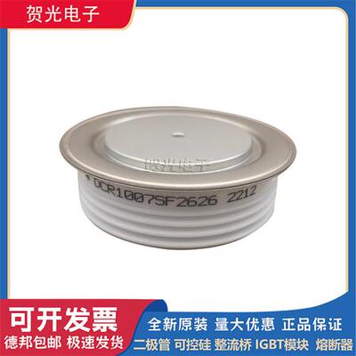 圆饼模块DCR1007SF2626/DCR1460F30/DCR1560F20/DCR1970X18-1900