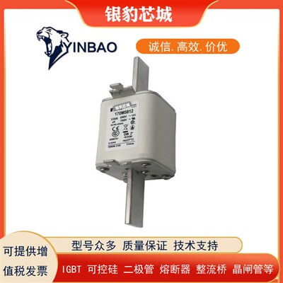 170M5952 170M5953 170M5954 170M5955 170M5956全新熔断器保险丝