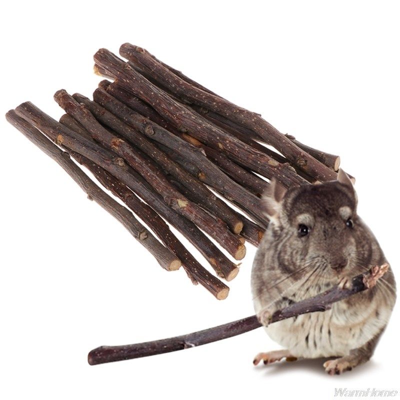 20pcs Chew Stick Tree Branch Hamster Squirrel Natural Toys P_虎窝淘