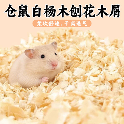 仓鼠木屑养仓鼠小金丝熊