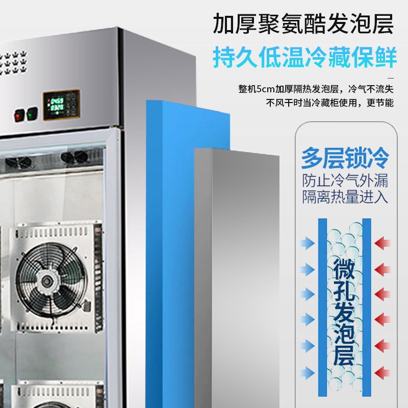 琸雪赛烤鸭风干晾胚柜晾鸭柜商用烧鸭烧腊烧鹅智能鸭胚吹干烘现货