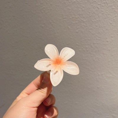 2025 Sweet CandyColored Frangipani Hairpin BackofHead Duckbi