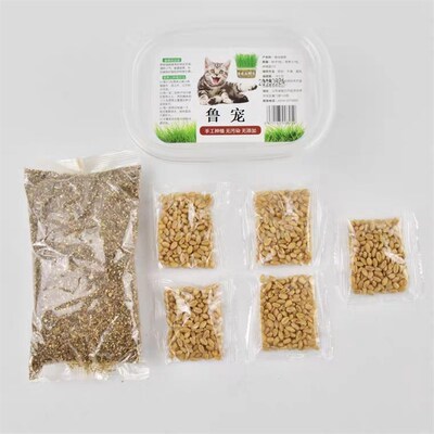 Funny Cat Grass Growing Kit AntiHairball Digestive Aid Easy