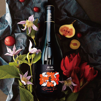 贺兰山单一园！耘岭自然风土品丽珠干红葡萄酒宁夏贺兰山东麓