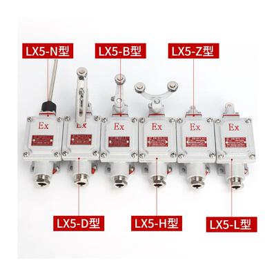 新款防爆行程开关LX5- 15Z/L/B/D/H/N BZX51限位脚踏开关双踏包邮