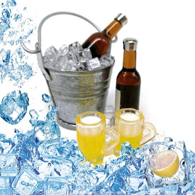 16 Dollhouse Accessories DIY Miniature Mini Simulation Ice