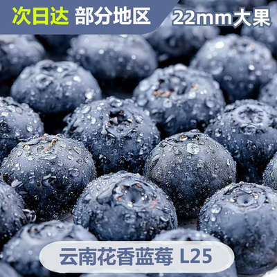 顺丰云南花香蓝莓L25新鲜现摘