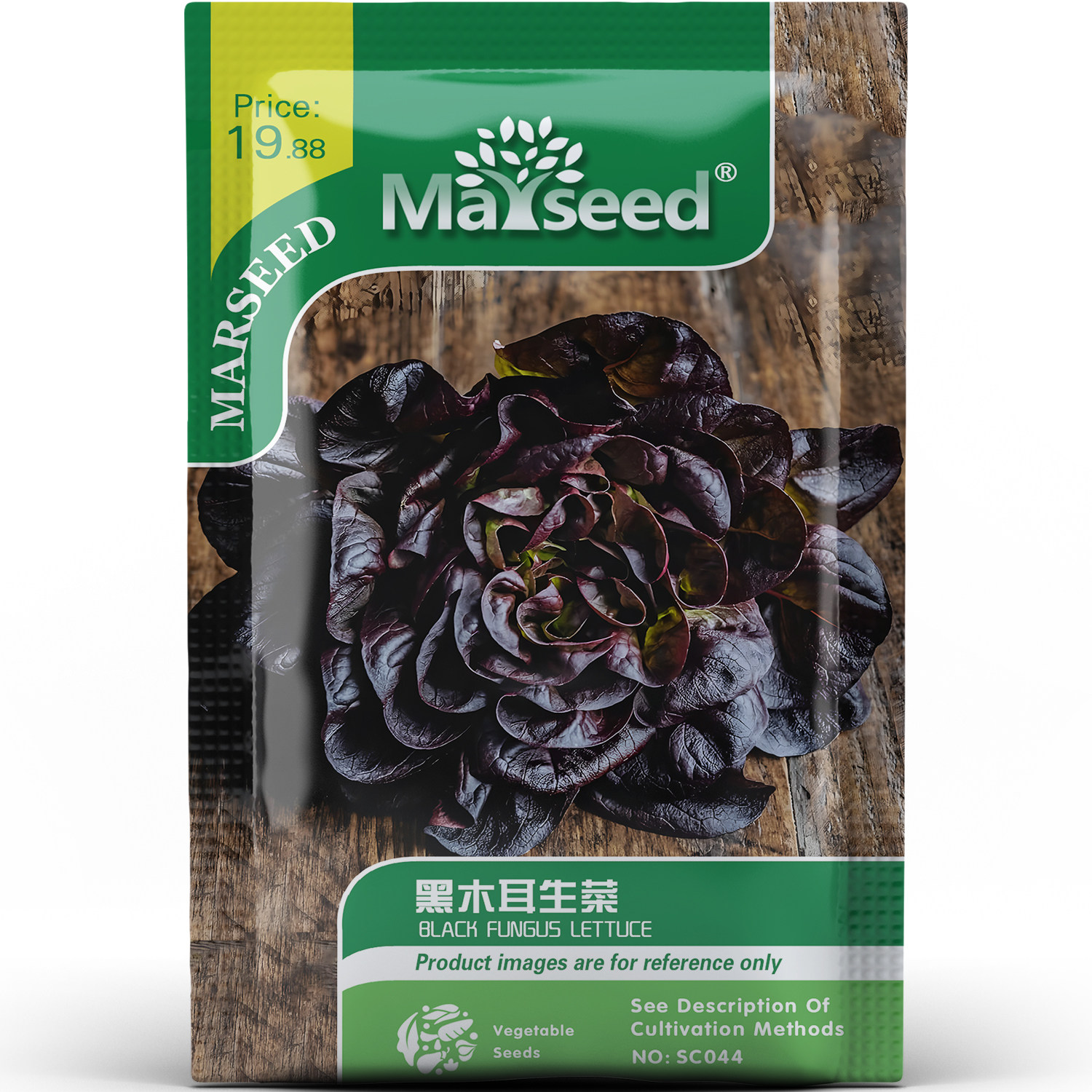 特别色彩黑木耳生菜清爽不腻低卡高水分蔬菜春秋盆栽种子种苗A193