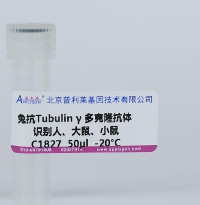 普利莱 兔抗Tubulin γ 多克隆抗体 识别人、大鼠、小鼠 C1827