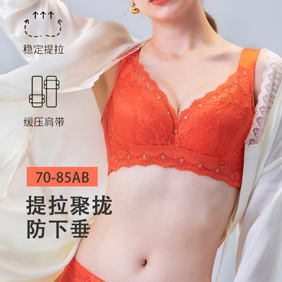 瑞法斯新款软钢圈小胸聚拢文胸