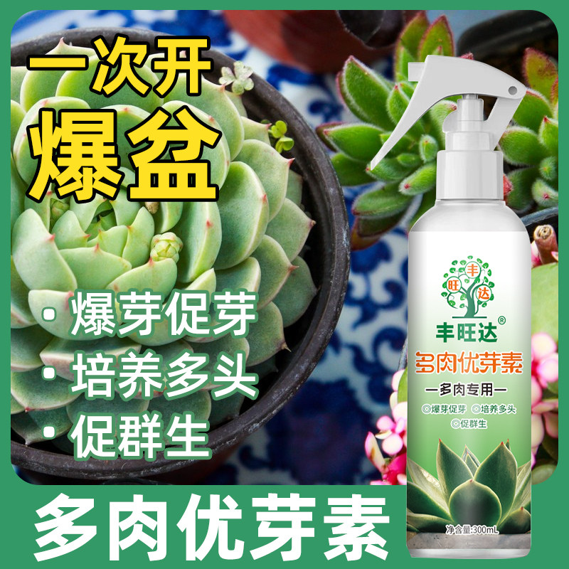 多肉专用优芽素爆芽素专用型催芽发芽营养液促多头侧暴芽细胞肥料