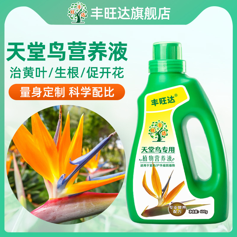 天堂鸟专用营养液龟背竹琴叶榕鹤望兰大型绿叶植物养花肥料通用型