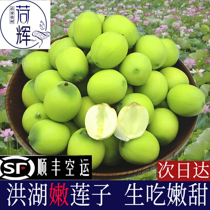 新鲜莲子湖北洪湖新鲜莲蓬带绿壳湖北清炒煮粥养生莲顺丰包邮