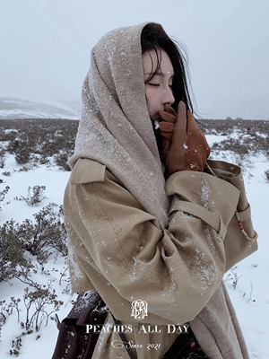 两穿美拉德收藏级风衣du家