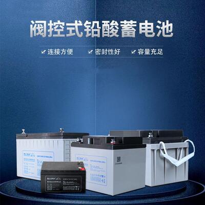 LEOCH理士蓄电池DJM12200S江苏理士 12V200ah  阀控式铅酸蓄电池