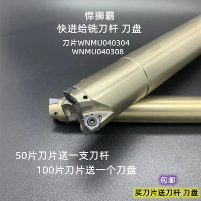 双面六角快进给铣刀杆悍狮霸抗震
