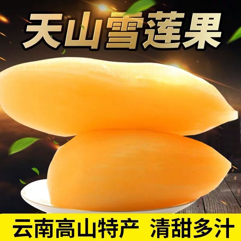 天山雪莲果新鲜水果云南特产当季整箱大果鲜果雪连果黄心一级批发