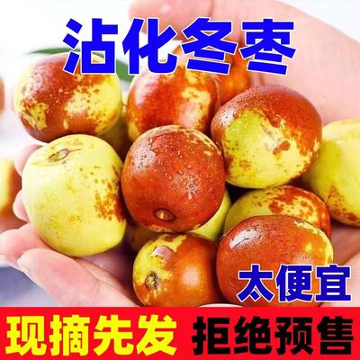 冬枣山东沾化新鲜脆冬枣大枣脆甜特大包邮孕妇水果当季枣整箱包邮