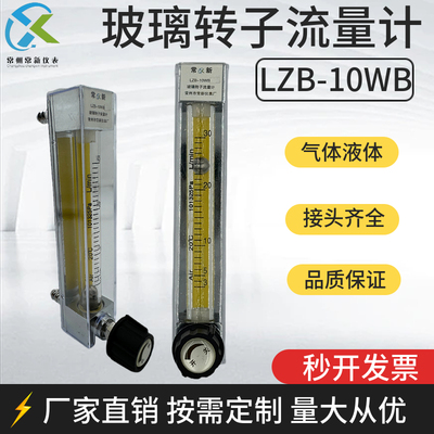 常新仪表LZB-10WB玻璃转子流量计液体气体玻璃管浮子流量计