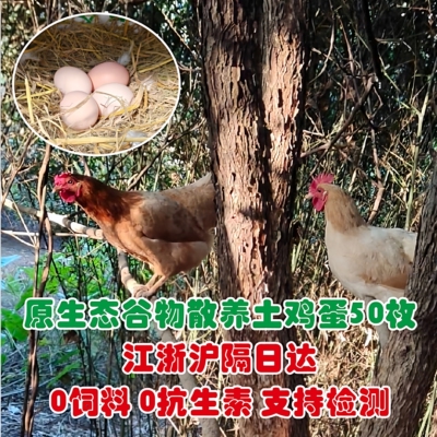 原生态散养土鸡蛋百分百谷物喂养