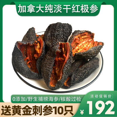 10年加拿大红极参进口冰岛